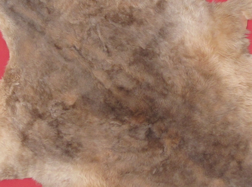 Tanned Furs : KANGAROO (7070-0006) : hideandfur.com