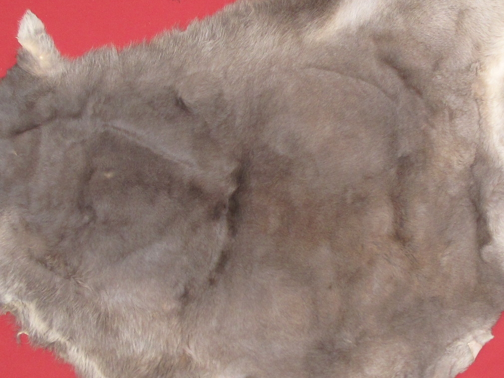 Tanned Furs : KANGAROO (7070-0008) : hideandfur.com