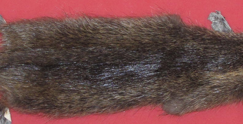 Tanned Furs : NUTRIA (7180-0294) : hideandfur.com