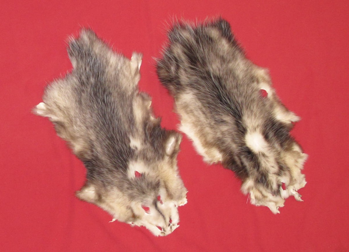 Tanned Furs : OPOSSUM (7220-0515) : hideandfur.com