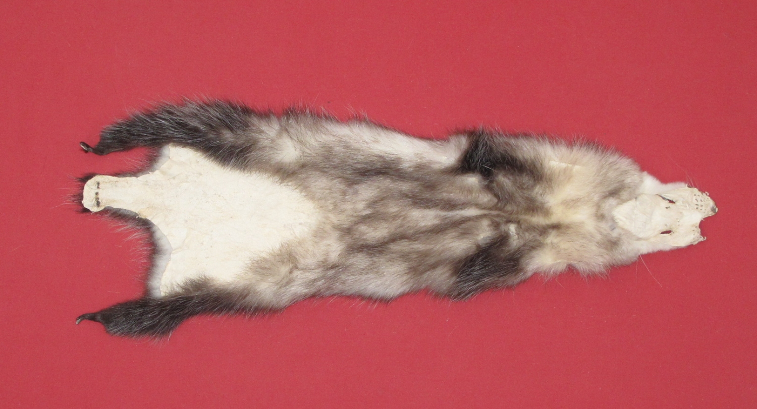 Tanned Furs : OPOSSUM (7220-0735) : hideandfur.com