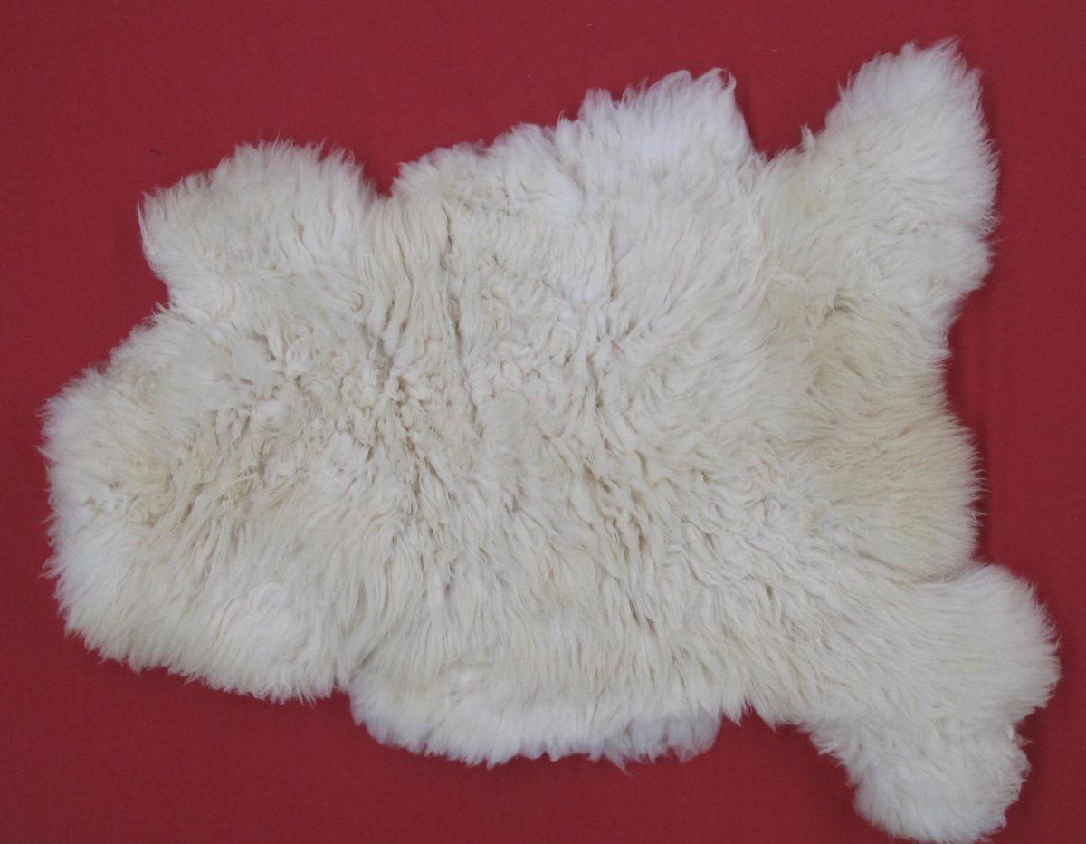 Tanned Furs : DOMESTIC SHEEP - REGULAR HIDES (7340-0251) : hideandfur.com