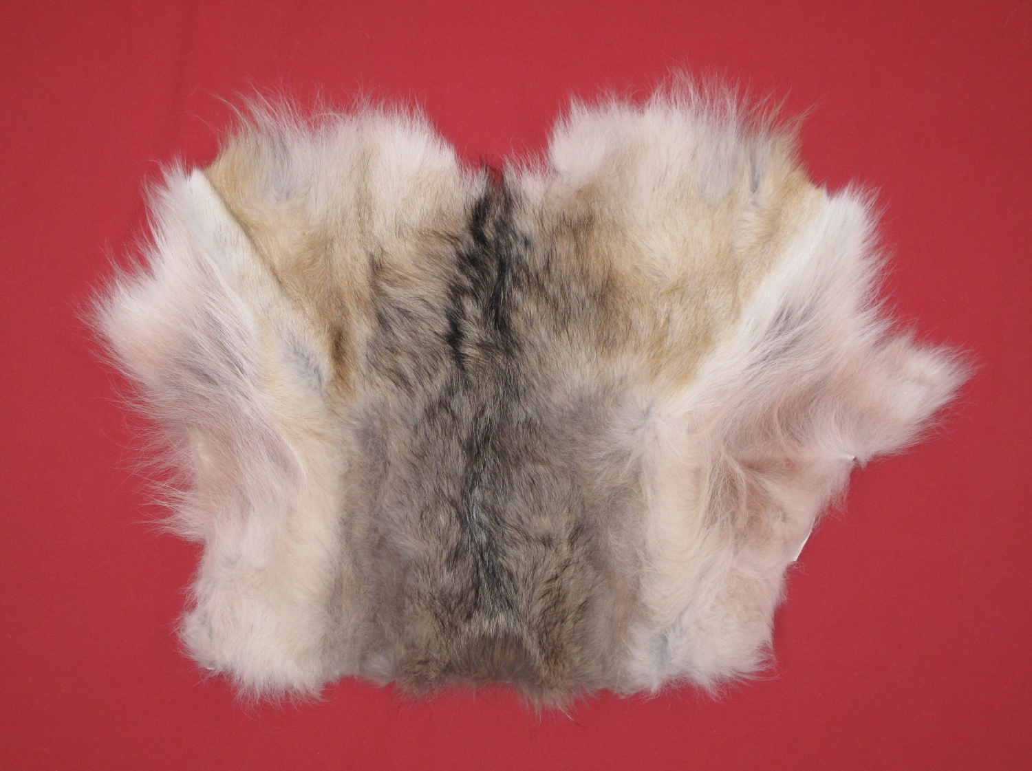 Tanned Furs : WOLF (7480-1989) : hideandfur.com