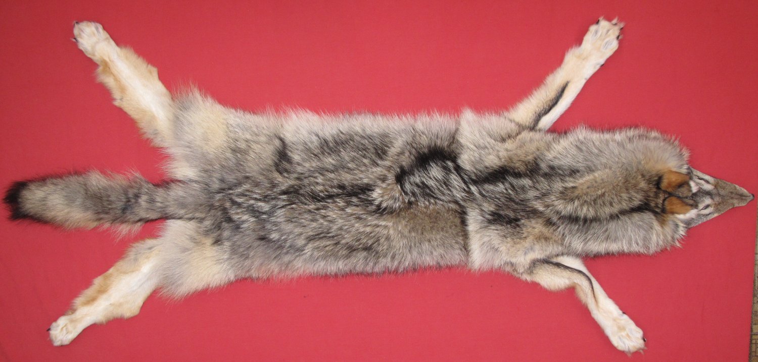 Tanned Furs : WOLF (7480-2205) : hideandfur.com