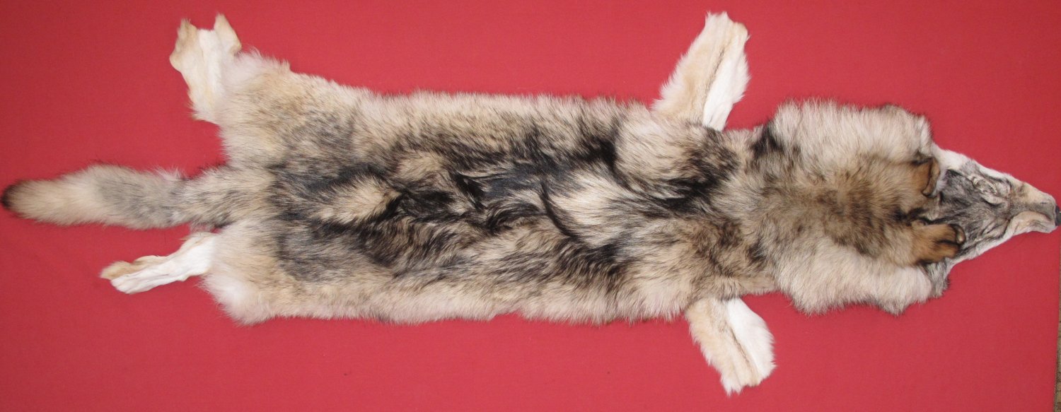 Tanned Furs : WOLF (7480-2208) : hideandfur.com