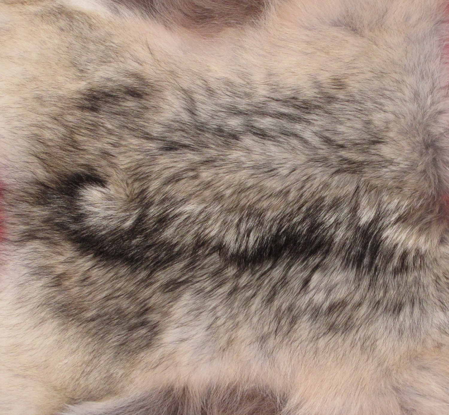Tanned Furs : WOLF (7480-2235) : hideandfur.com