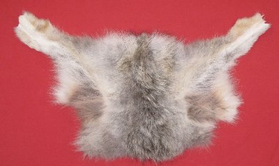 Tanned Wolf Hides, Pelts, Skins for sale by www.hideandfur.com