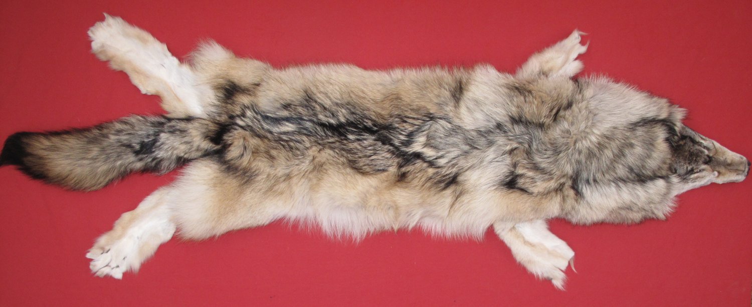 Tanned Furs : WOLF (7480-2255) : hideandfur.com
