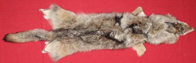 Tanned Wolf Hides, Pelts, Skins for sale by www.hideandfur.com