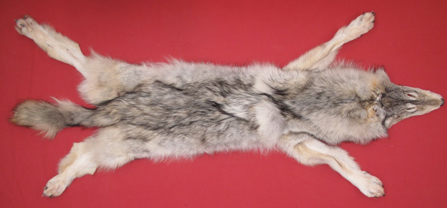 Tanned Furs : WOLF (7480-2287) : hideandfur.com