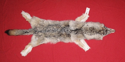 Tanned Wolf Hides, Pelts, Skins for sale by www.hideandfur.com