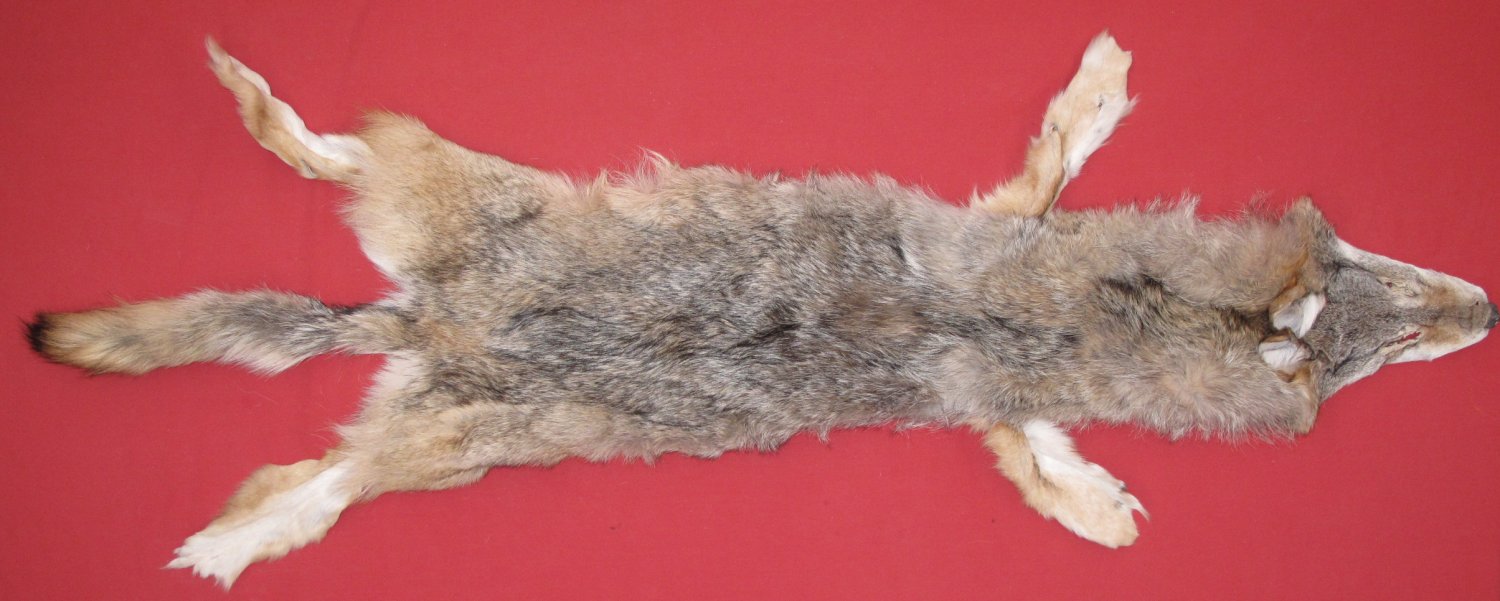 Tanned Furs : WOLF (7480-2336) : hideandfur.com