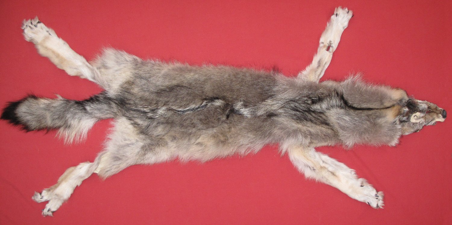 Tanned Furs : WOLF (7480-2391) : hideandfur.com
