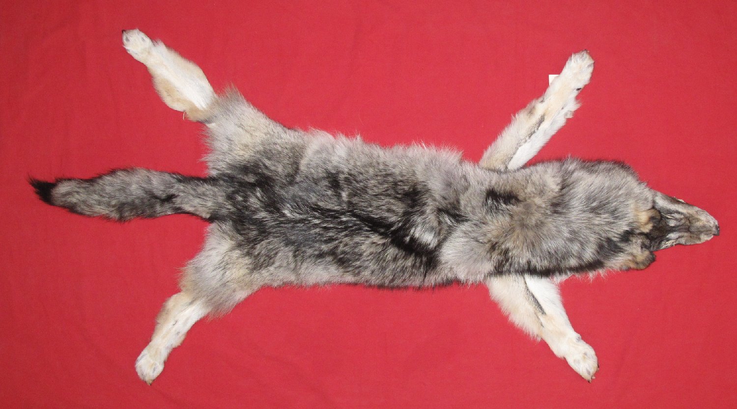 Tanned Furs : WOLF (7480-2415) : hideandfur.com