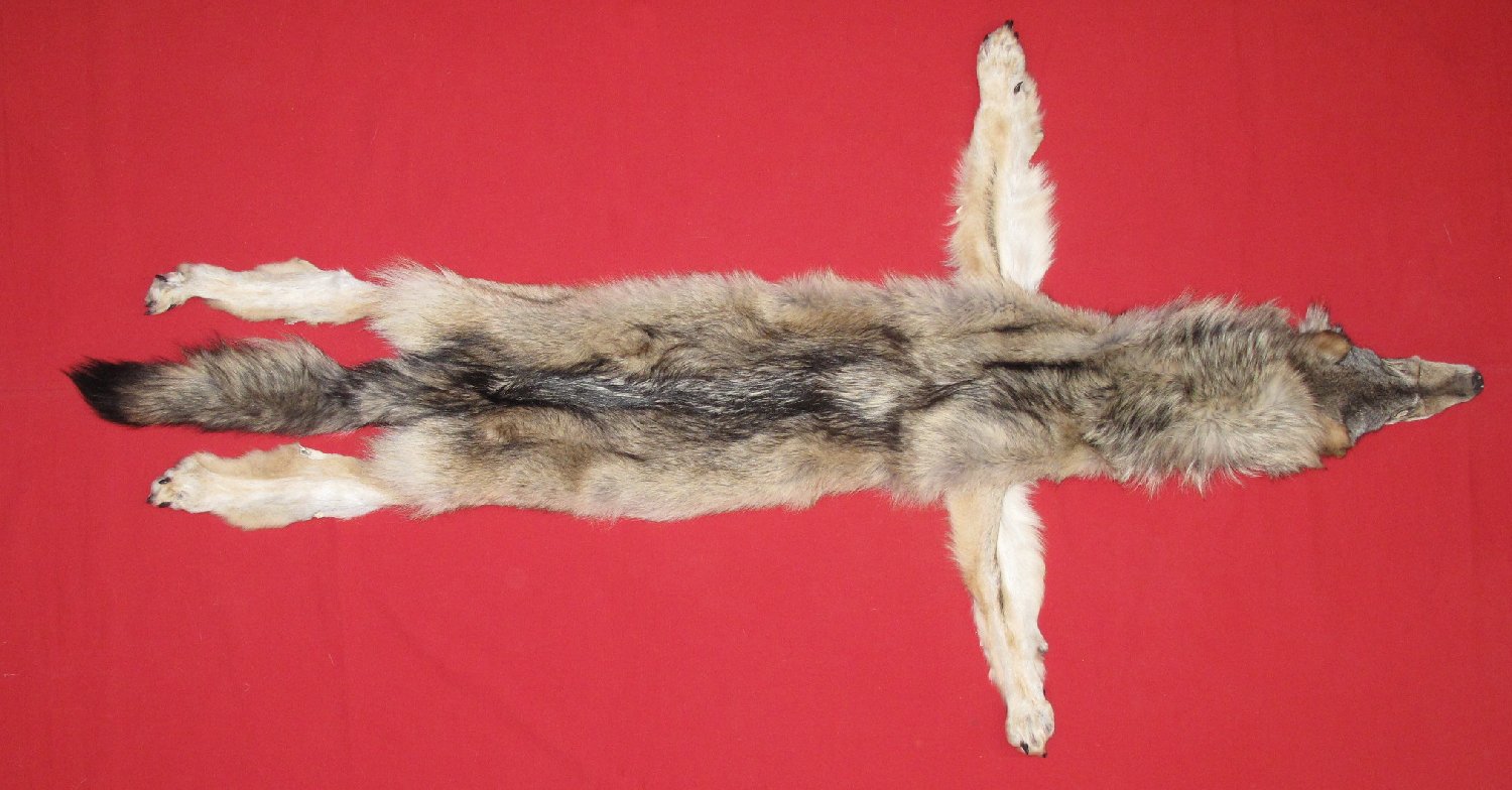 Tanned Furs : WOLF (7480-2443) : hideandfur.com