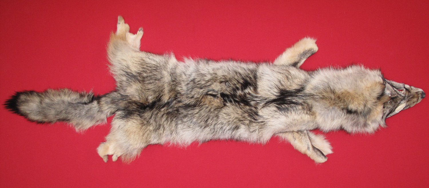 Tanned Furs : WOLF (7480-2463) : hideandfur.com