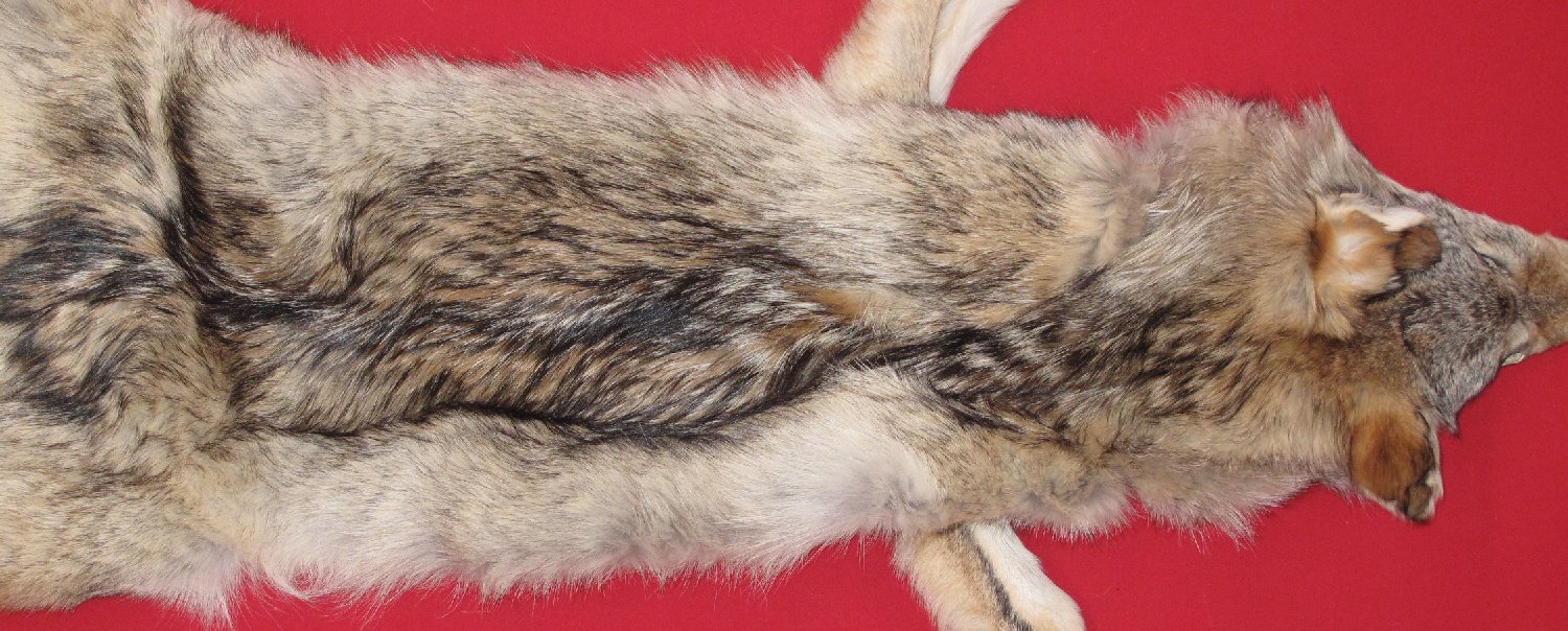 Tanned Furs : WOLF (7480-2481) : hideandfur.com
