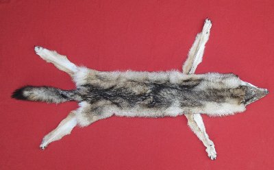 Tanned Wolf Hides, Pelts, Skins for sale by www.hideandfur.com
