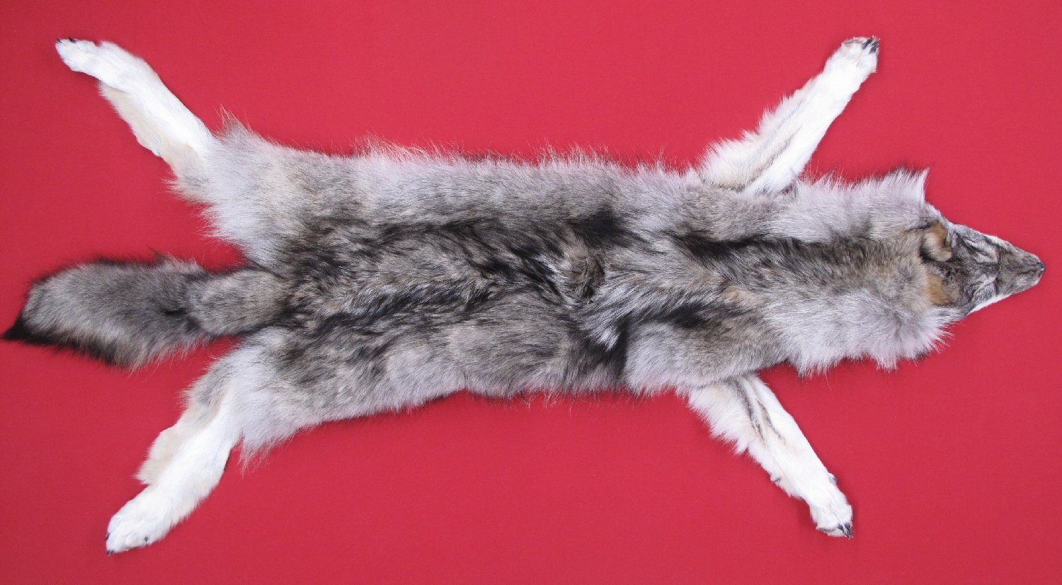 Tanned Furs : WOLF (7480-2485) : hideandfur.com