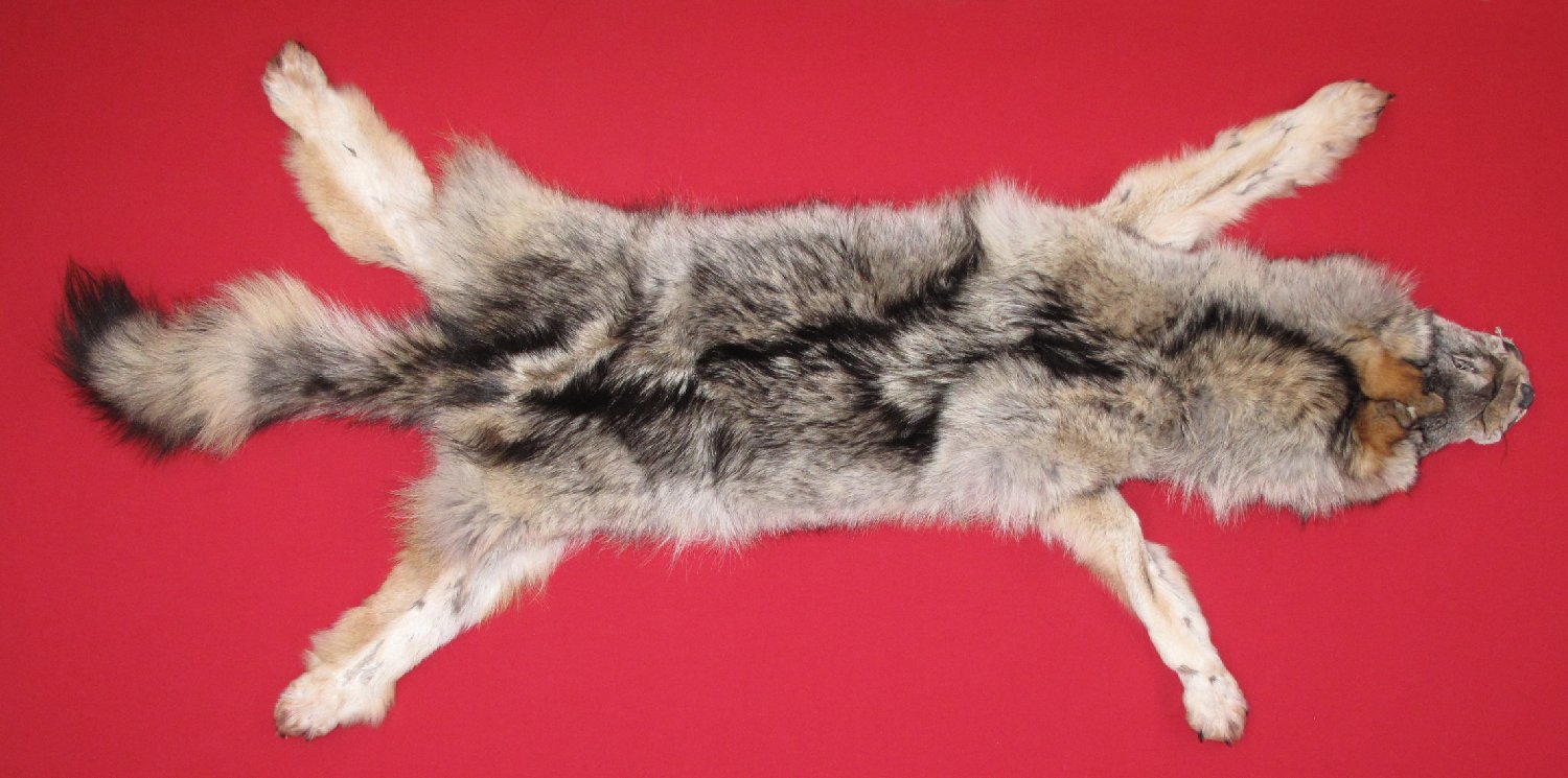 Tanned Furs : WOLF (7480-2491) : hideandfur.com