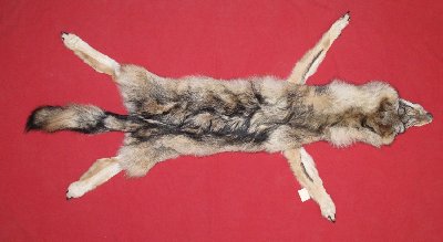 Tanned Wolf Hides, Pelts, Skins for sale by www.hideandfur.com
