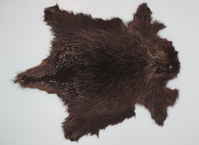 Miscellaneous : PORCUPINE - HIDES (7910-8034) : hideandfur.com