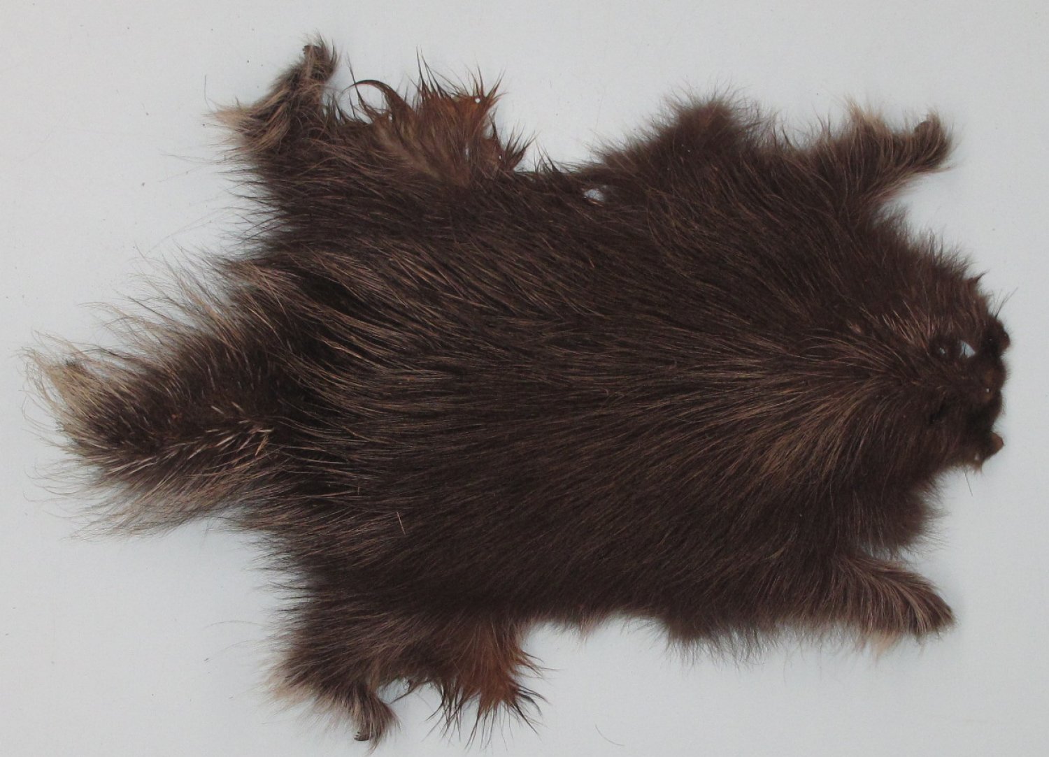 Miscellaneous : PORCUPINE - HIDES (7910-8037) : hideandfur.com