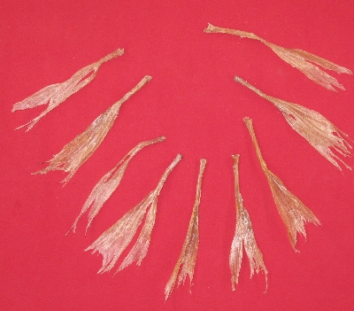 Deer and Elk Sinew, Backstrap, Simulated Sinew for sale by www ...